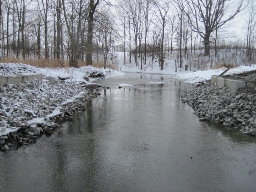Celebrating 31 Great Lakes Clean-up Projects - Water Canada