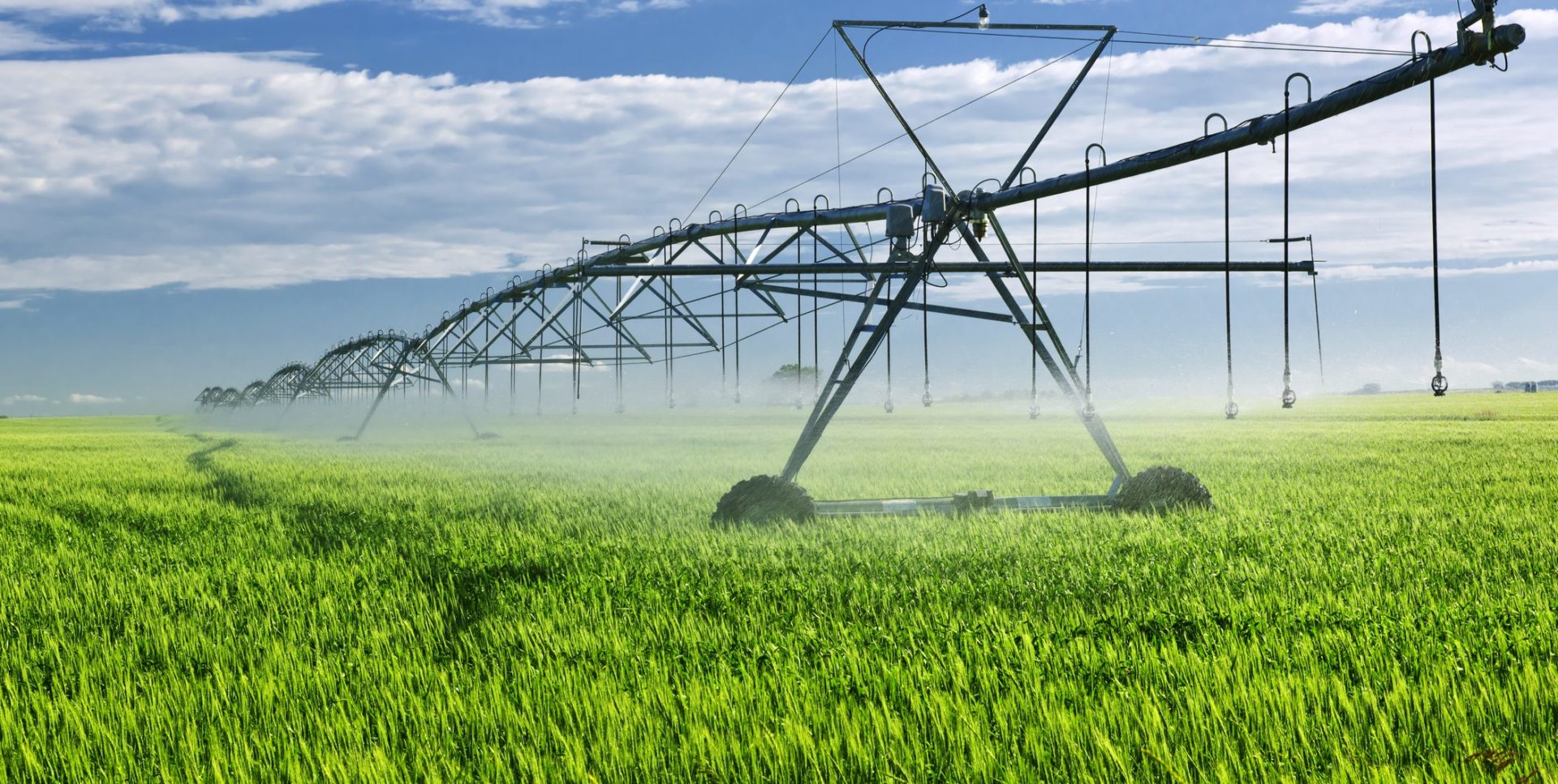 Alberta Government and CIB Make Historic Investment in Irrigation ...