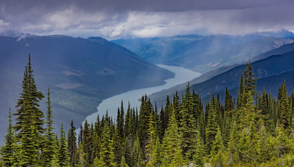 Columbia Basin Trust Invests $10M in Ecosystem Enhancement