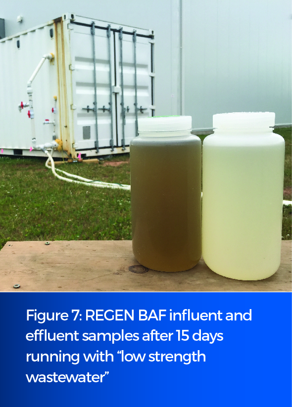 REGEN BAF Case Study: Wastewater Lagoon Upgrade - Water Canada