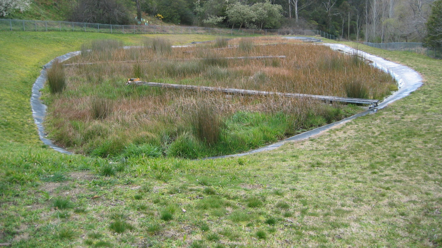 Natural Assets Help Communities Better Manage Flood Risk: Report