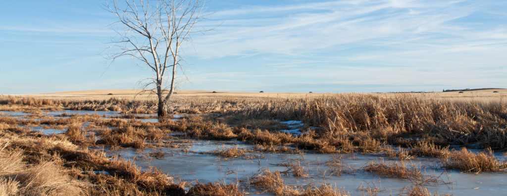 Sask. Water Security Agency Anticipates Below-Normal Spring Runoff ...