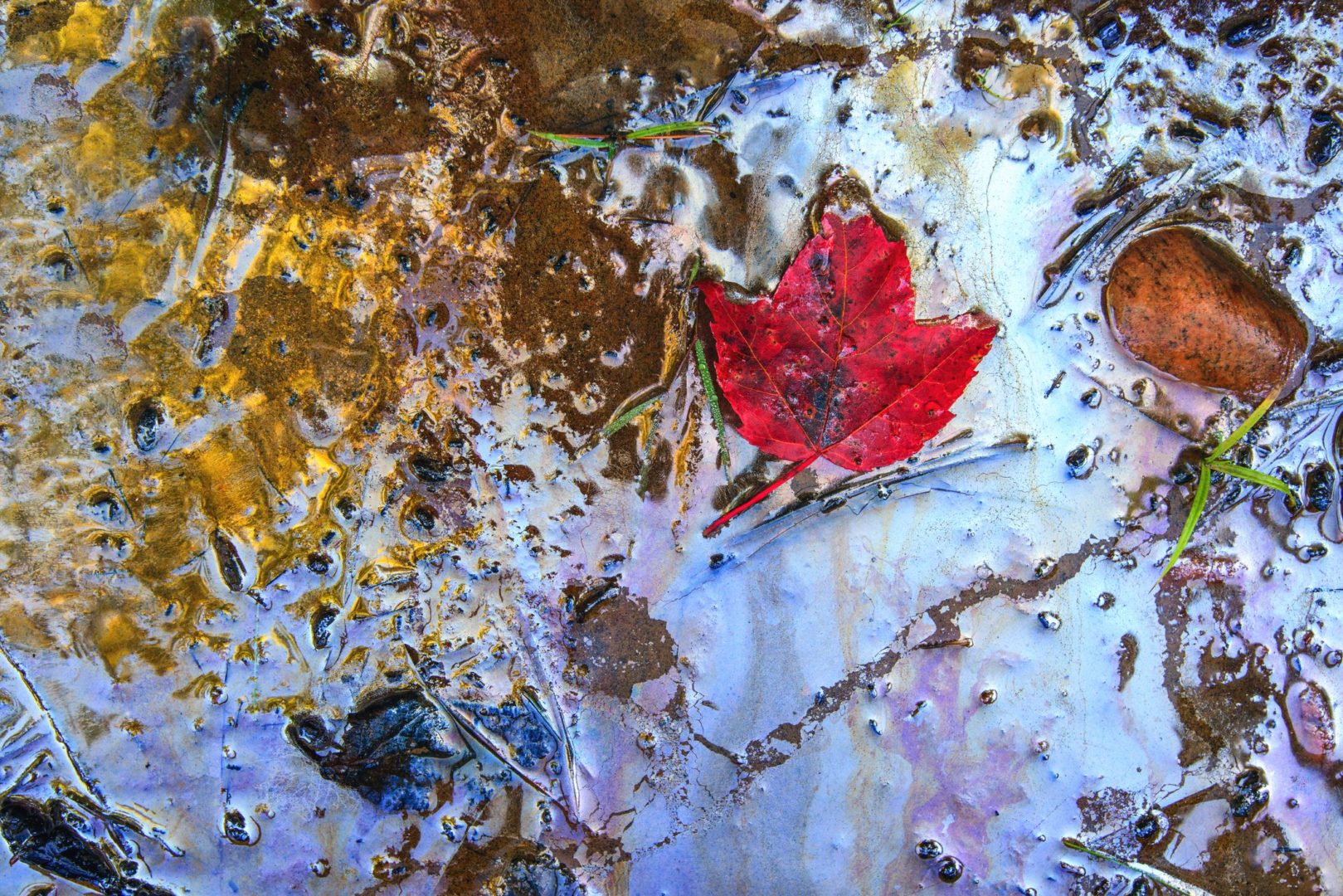 Ontario Launches Tool to Report Pollution in Real-Time - Water Canada