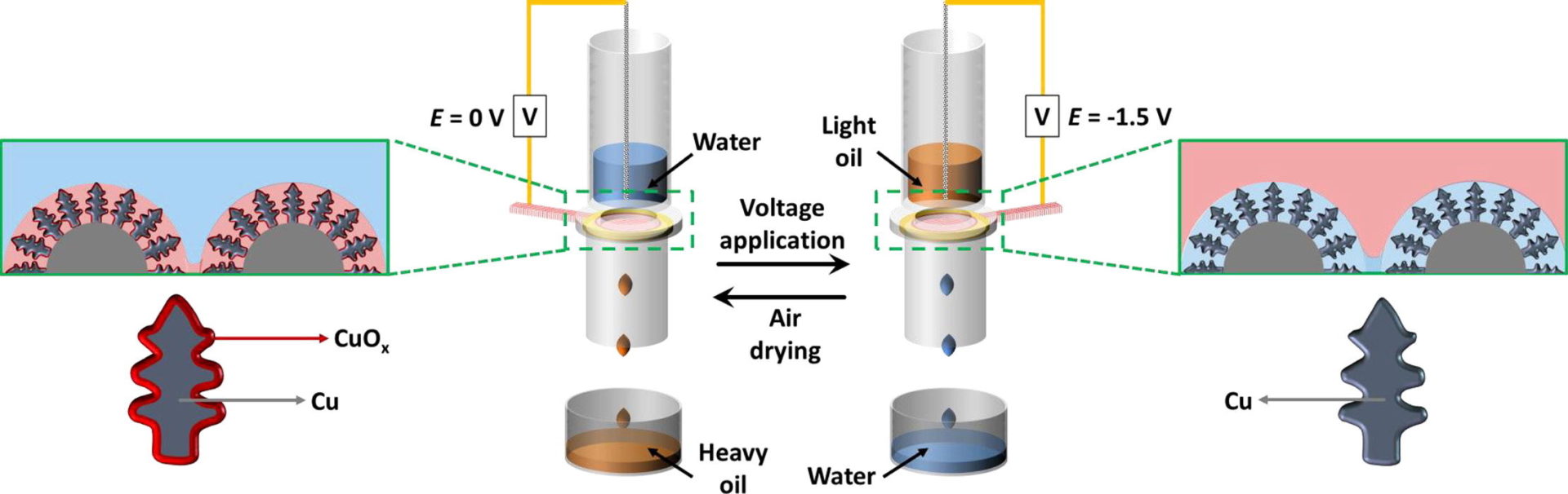 UBC Develops Efficient, Non-Toxic Membrane to Separate Oil and Water ...