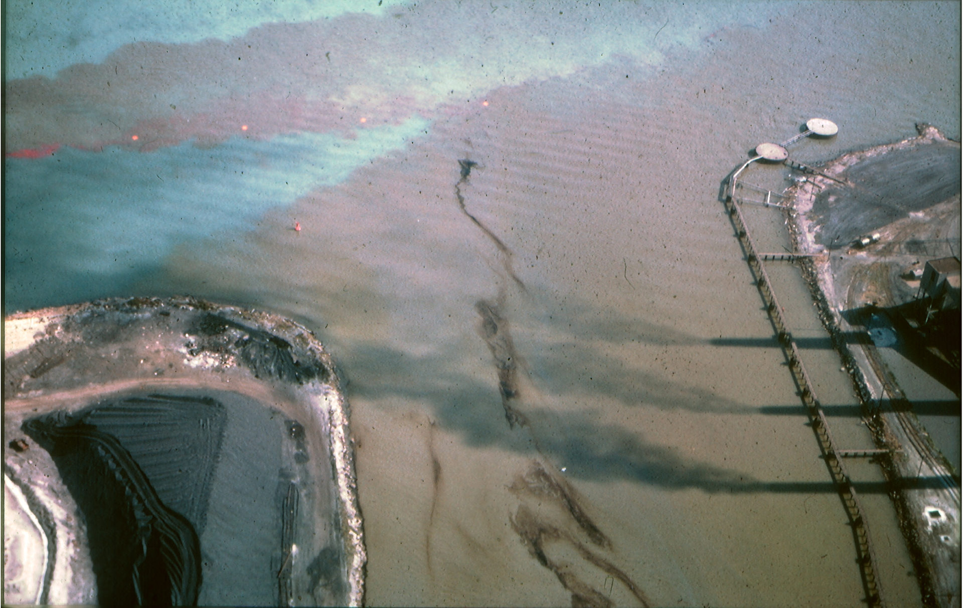 Detroit River Recovery an Environmental Success Story - Water Canada