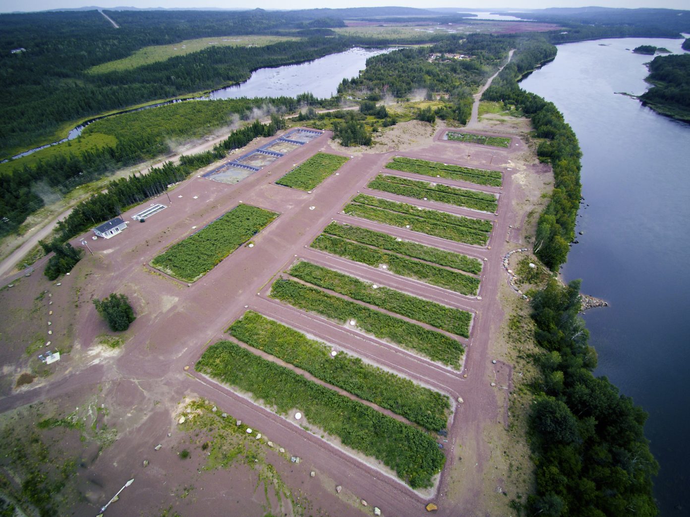 The Role of Engineered Wetlands for Water Treatment | Water Canada