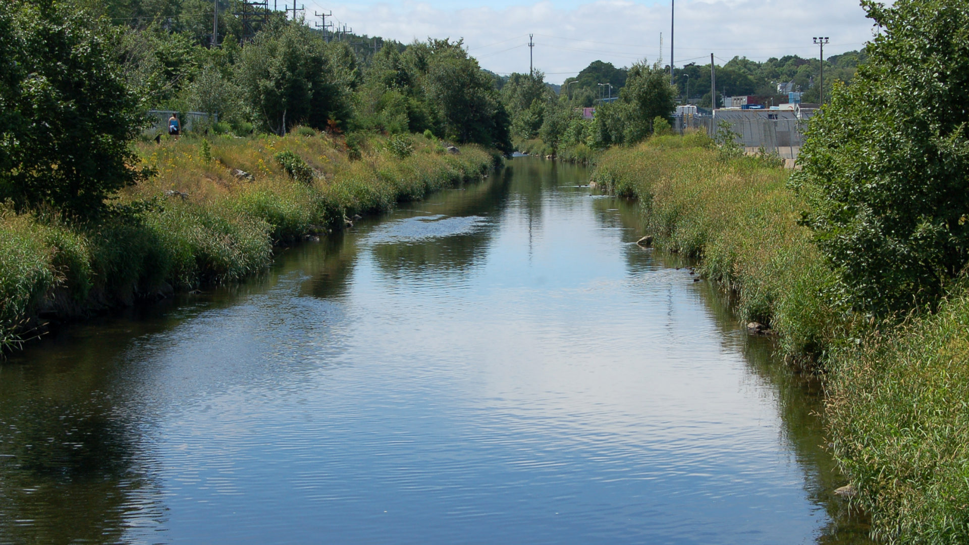 NL Releases Updated Flood Risk Map for Waterford River - Water Canada