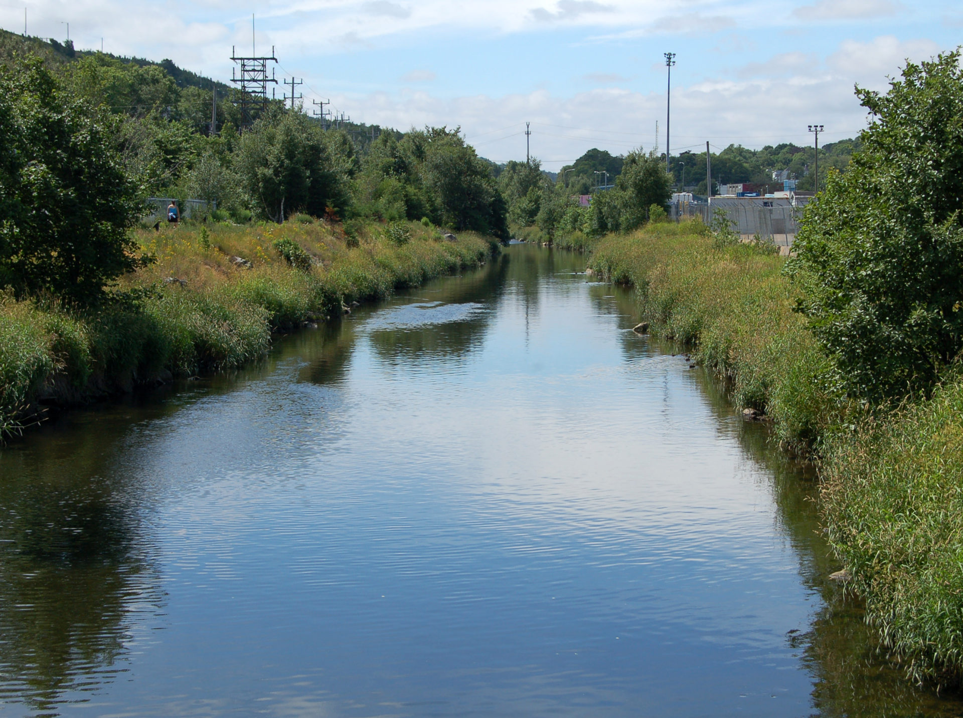 NL Releases Updated Flood Risk Map for Waterford River - Water Canada