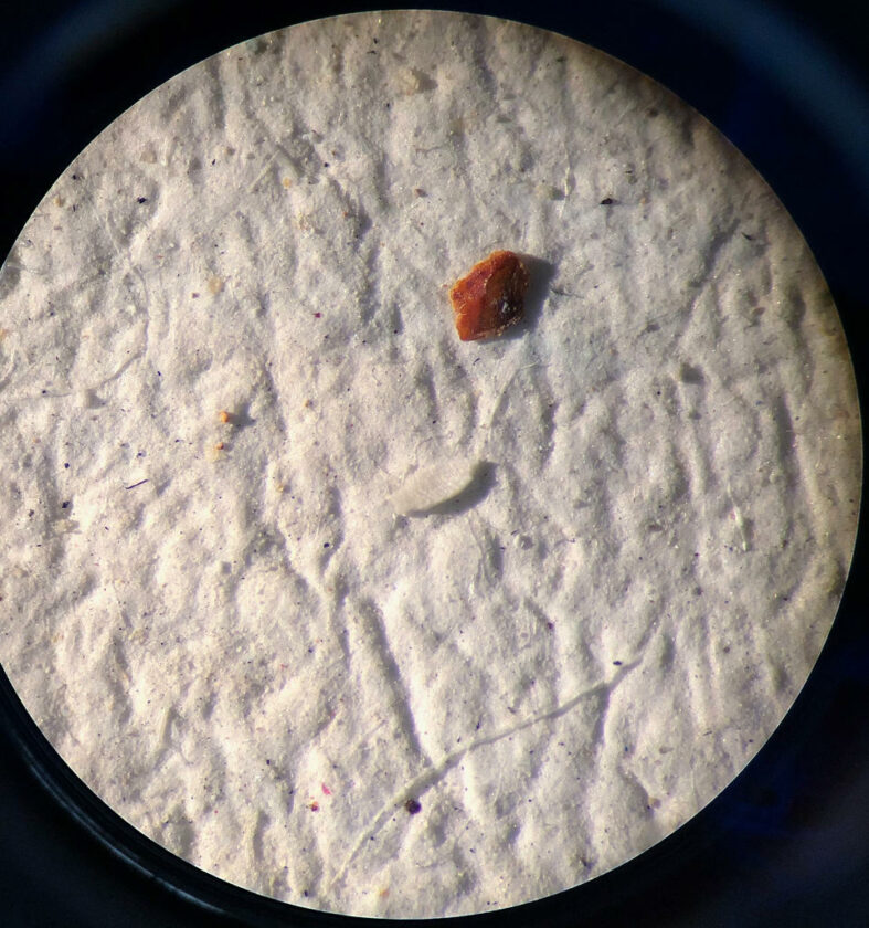 UCalgary student studies microplastics in wastewater - Water Canada