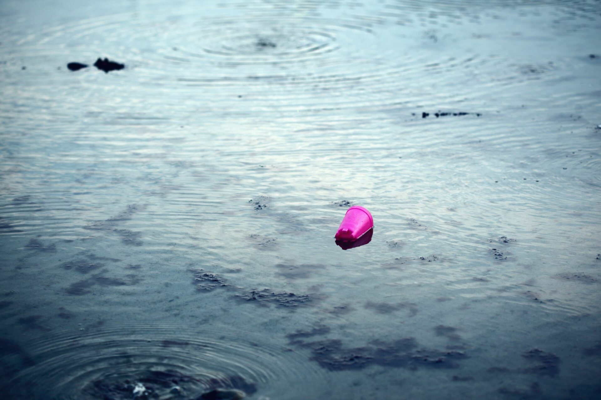 Ocean Legacy Foundation partners with TELUS to advance global education ...