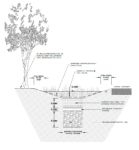 The Brighton Beach bioswale project - Water Canada