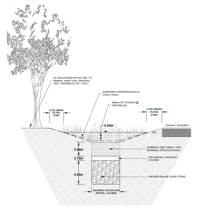 The Brighton Beach bioswale project - Water Canada