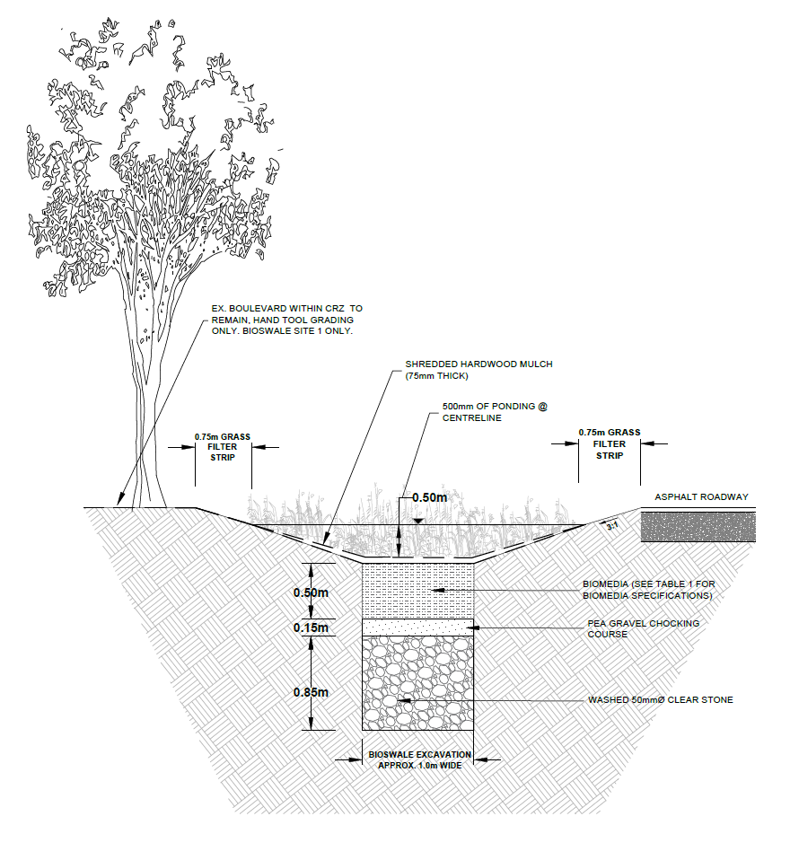 The Brighton Beach bioswale project | Water Canada