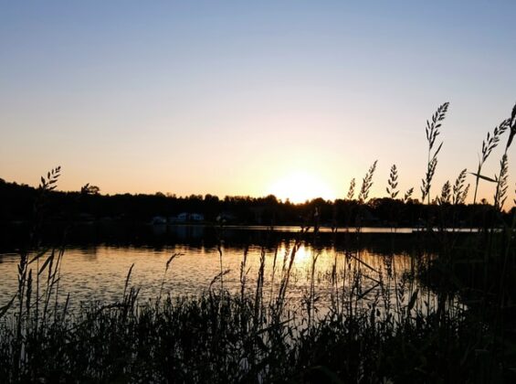 Canadian Water Network unveils new strategic plan - Water Canada