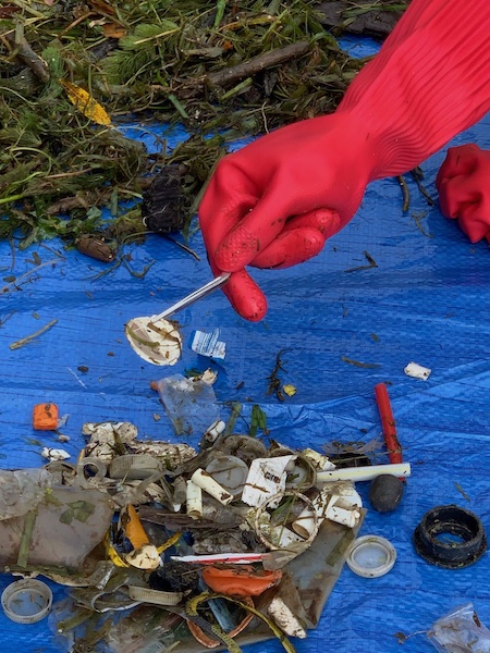 Managing microplastics: The Great Lakes Plastic Cleanup - Water Canada