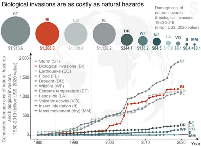 New study shows biological invasions from invasive species are as ...
