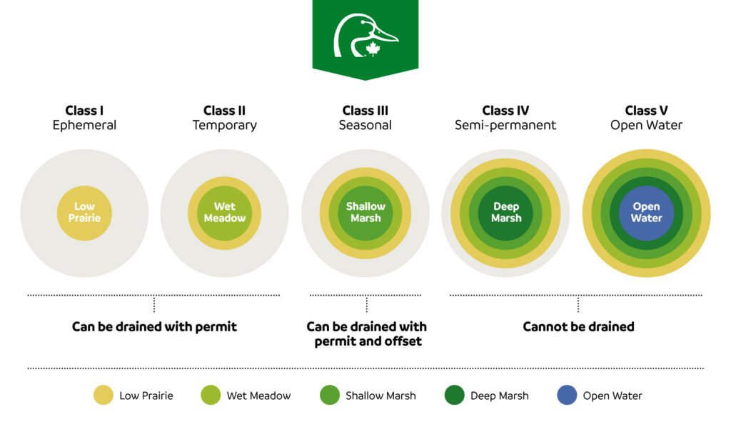 Tools for wetland classification: research contributes to major win in ...