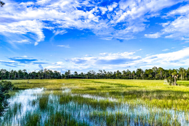 Watershed Security Grants: Empowering Climate Resilience and ...