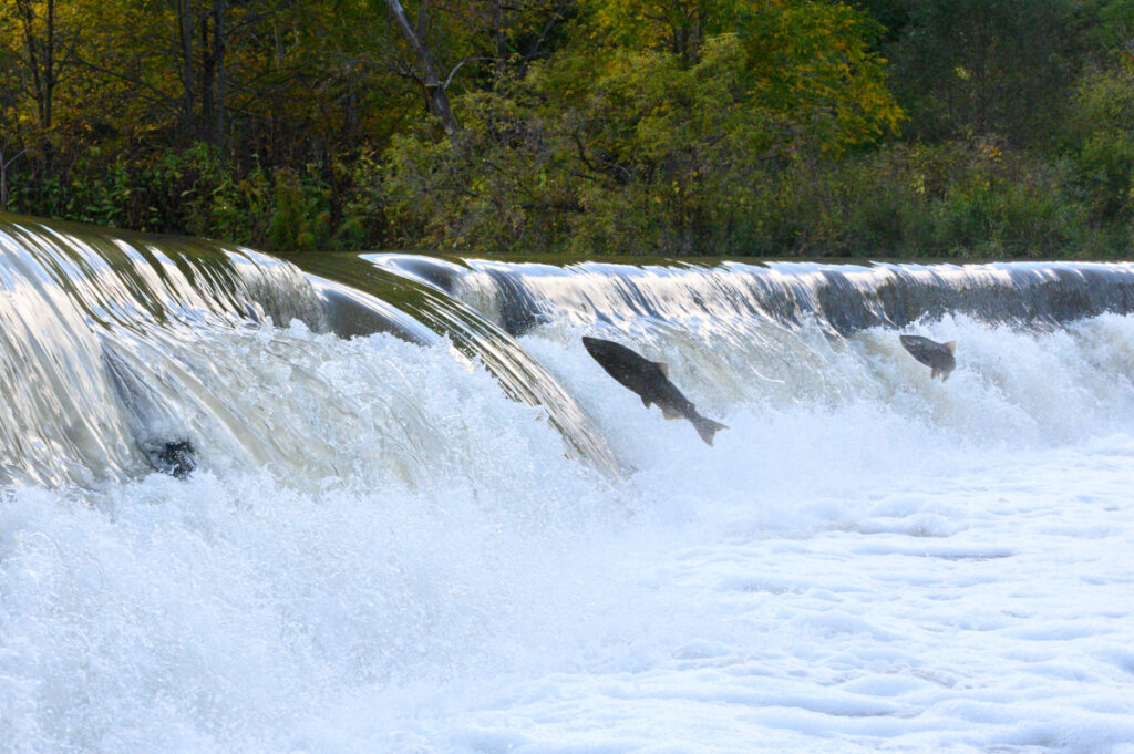 New global database of dams and reservoirs could transform water ...
