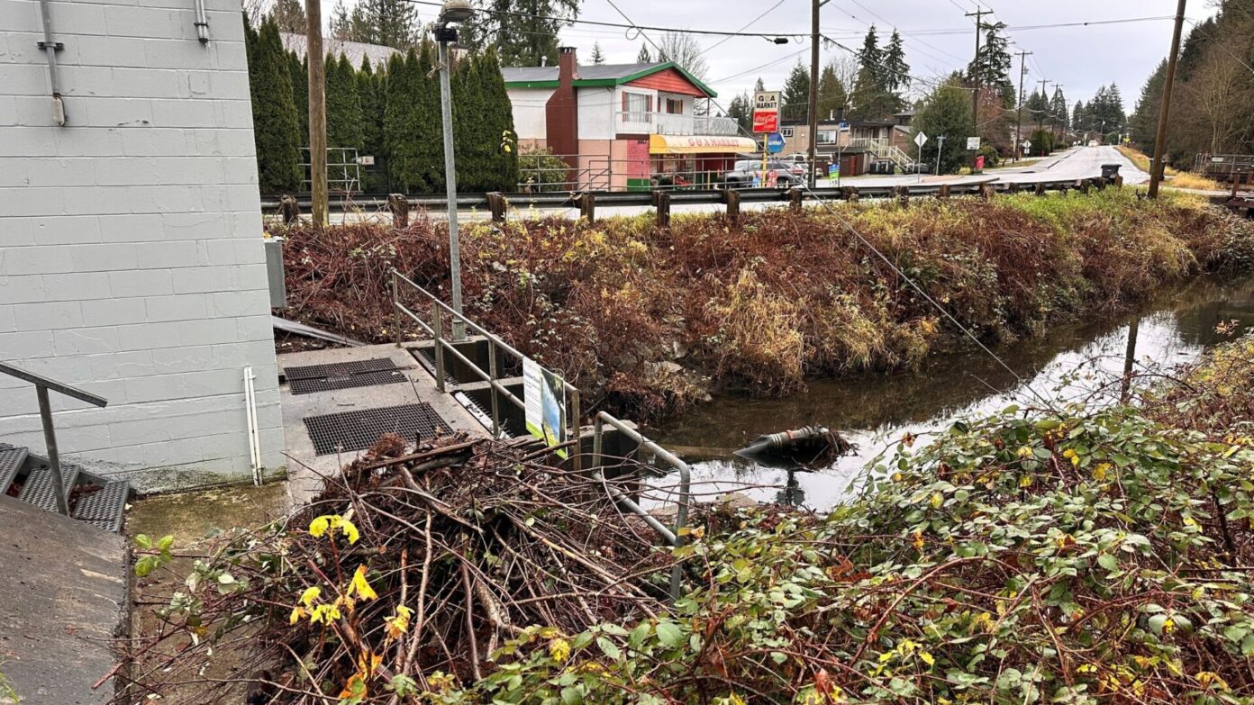 Federal government partners with Port Coquitlam to strengthen flood protection efforts - Water ...