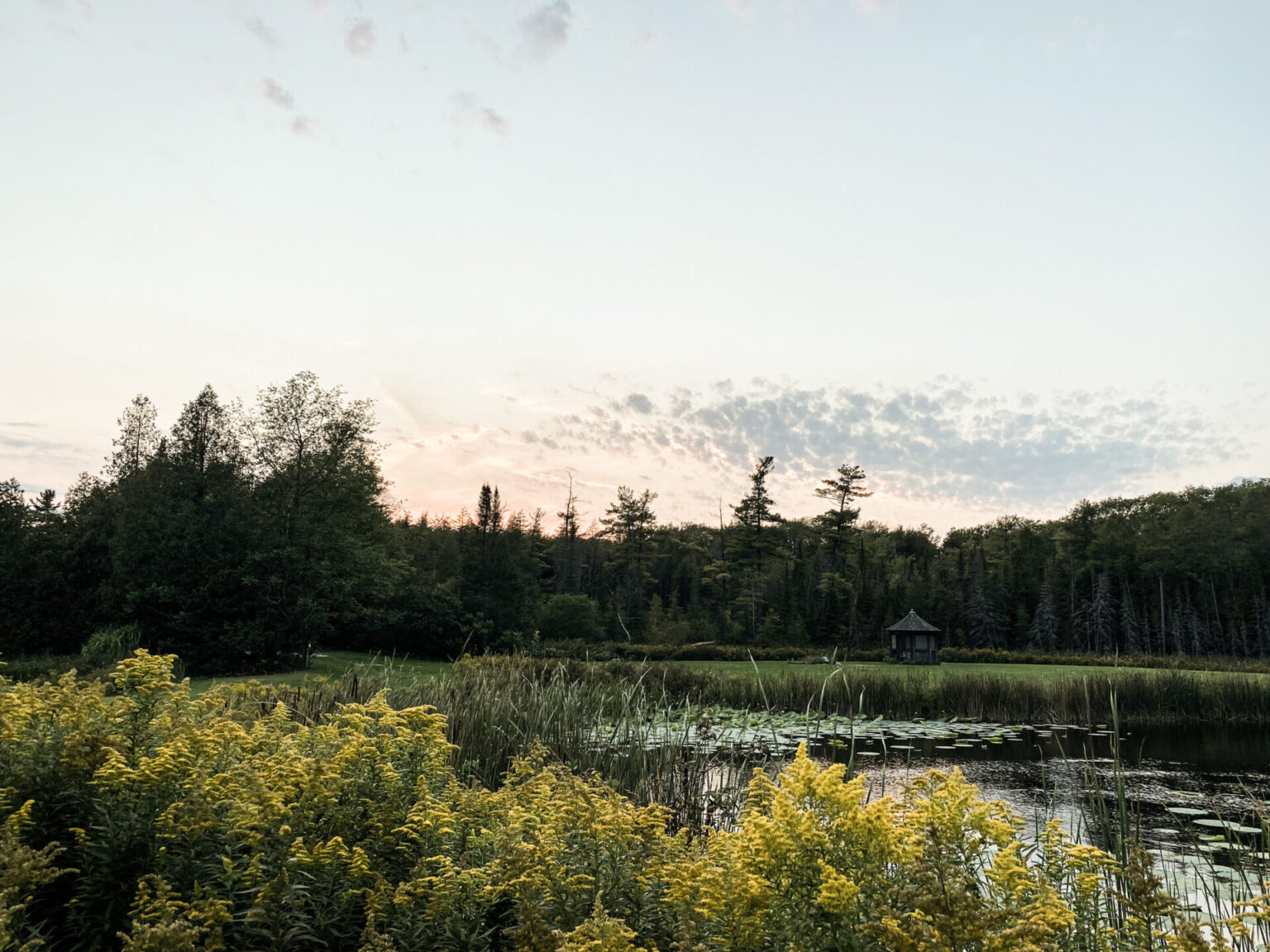 Watersheds Canada promotes the importance of wetlands on World Wetlands ...