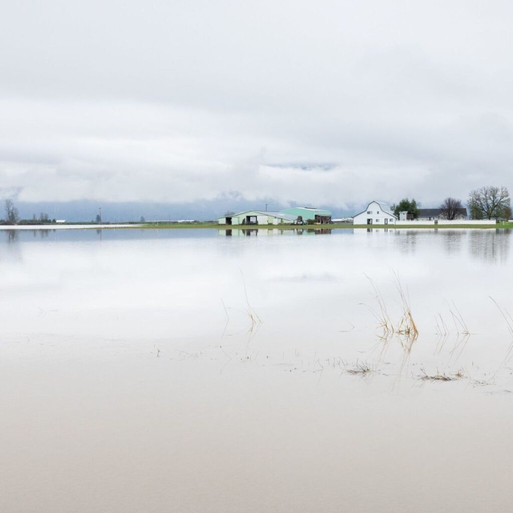 B.C. floods highlight pressure on infrastructure and river systems ...